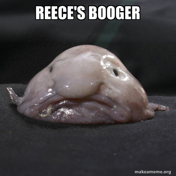 REECE'S BOOGER - Blobfish Meme Generator