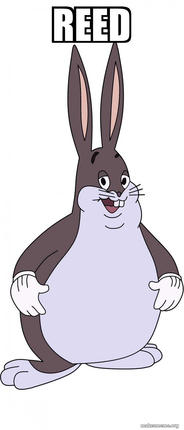 reed - Chungus Meme Generator