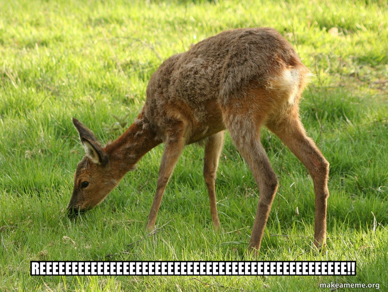 REEEEEEEEEEEEEEEEEEEEEEEEEEEEEEEEEEEEEEEEEEEEEEEE!! Meme Generator