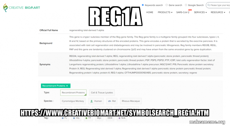 REG1A https://www.creativebiomart.net/symbolsearch_REG1A.htm - REG1A ...