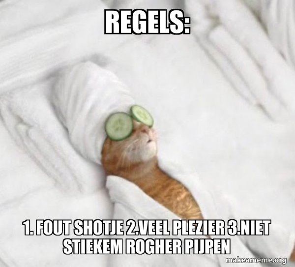 regels: 1. Fout shotje 2.veel plezier 3.niet stiekem rogher pijpen ...