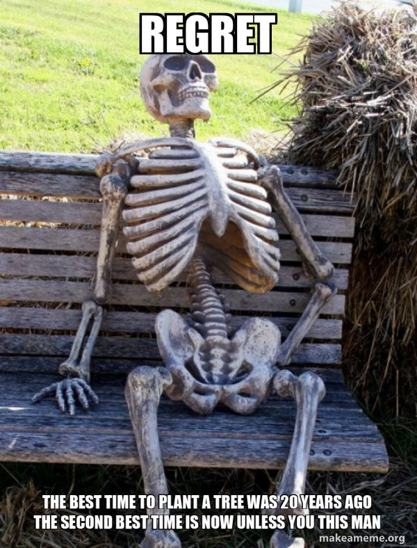 Regret The best time to plant a tree was 20 years ago the second best ...