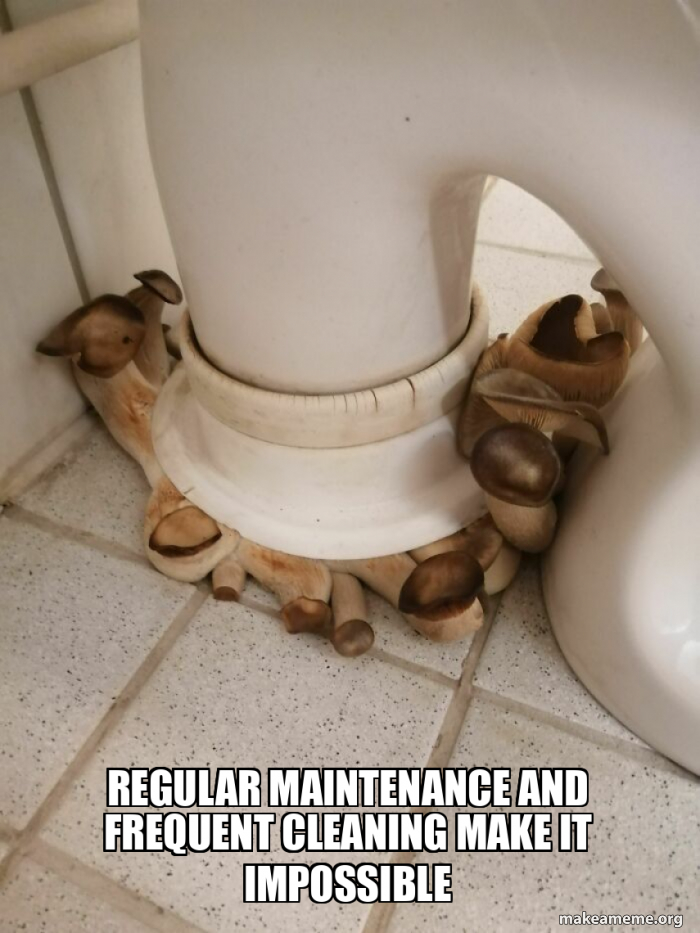 regular maintenance and frequent cleaning make it impossible Meme Generator