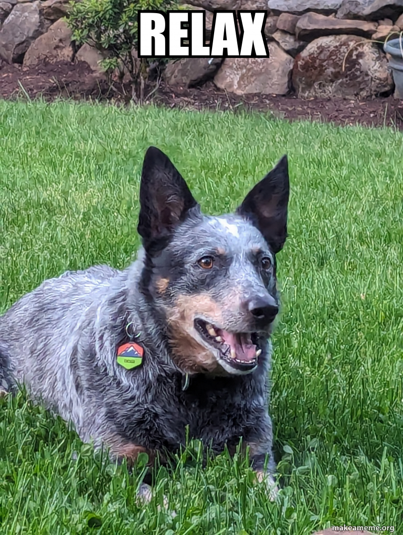 Relax Meme Generator
