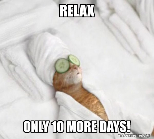 relax only 10 more days! - Pampered Cat Meme Meme Generator