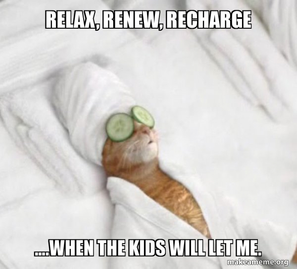 Relax, Renew, Recharge ....when the kids will let me. - Pampered Cat ...