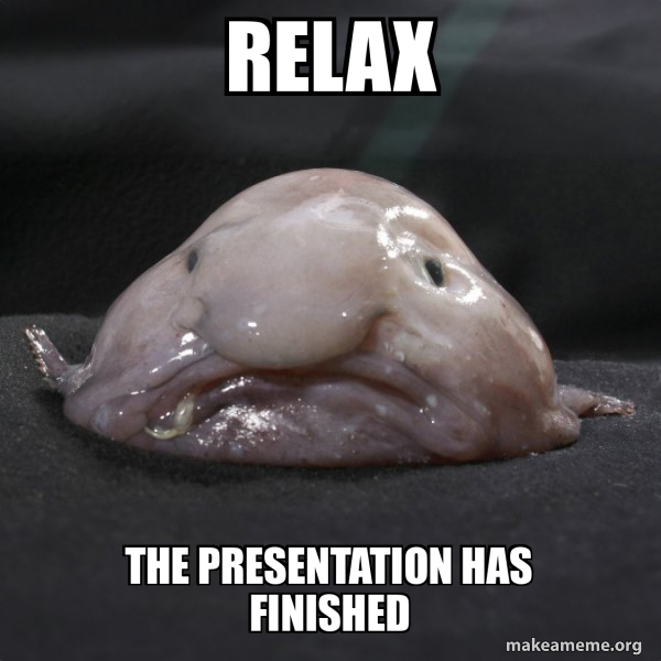 relax the presentation has finished - Blobfish Meme Generator