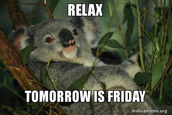 Relax Tomorrow is Friday - Laid Back Koala Meme Generator