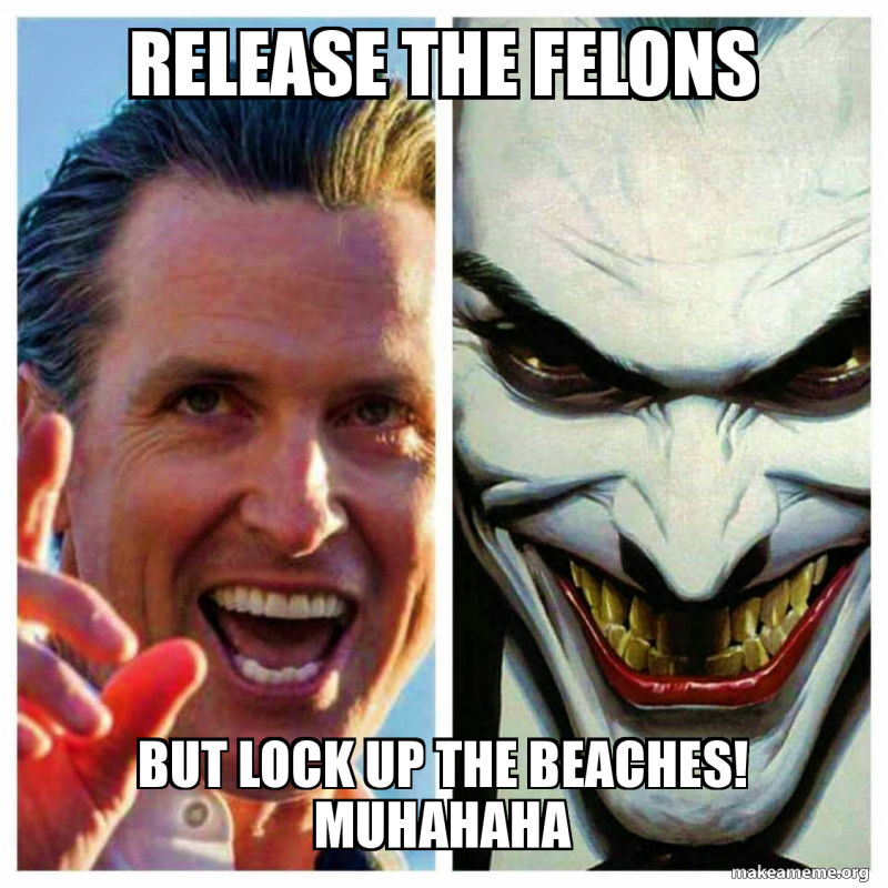 release the felons but lock up the beaches! muhahaha Meme Generator