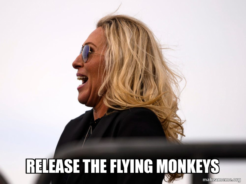Release the Flying Monkeys Meme Generator