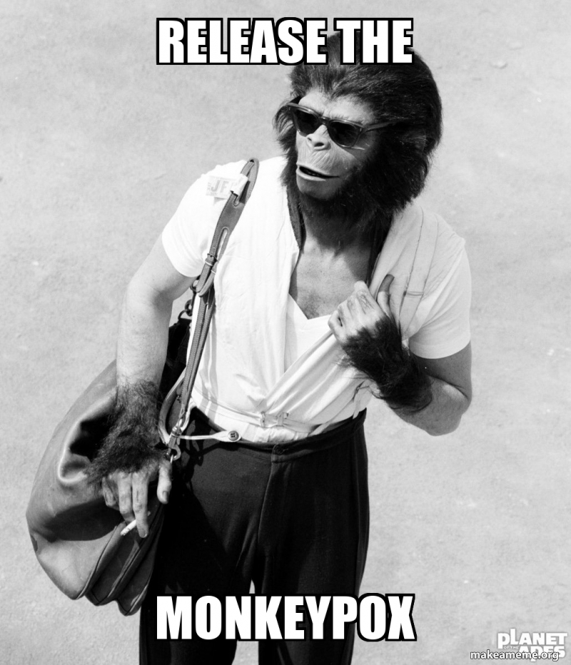 release the monkeypox Meme Generator