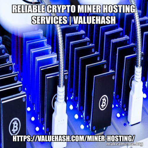 Reliable Crypto Miner Hosting Services | ValueHash https://valuehash.com/miner-hosting/ Meme ...
