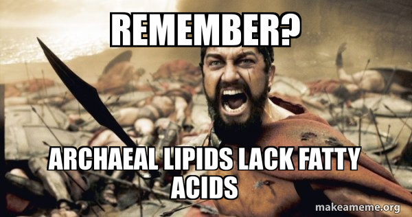 Fatty Acid Memes Free Vectors | Essential Fatty Acid Character