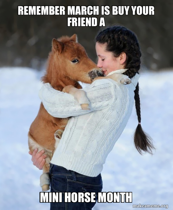 Remember march is buy your friend a Mini horse month Meme Generator