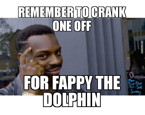 remember to crank one off for fappy the dolphin - Roll Safe Black Guy ...