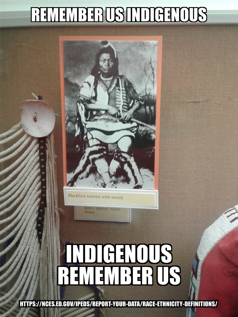 REMEMBER US INDIGENOUS indigenous remember us https://nces.ed.gov/ipeds ...