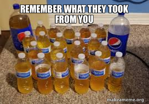 Remember what they took from you Meme Generator