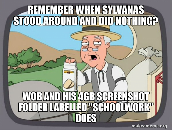 Remember when Sylvanas stood around and did nothing? Wob and his 4gb ...