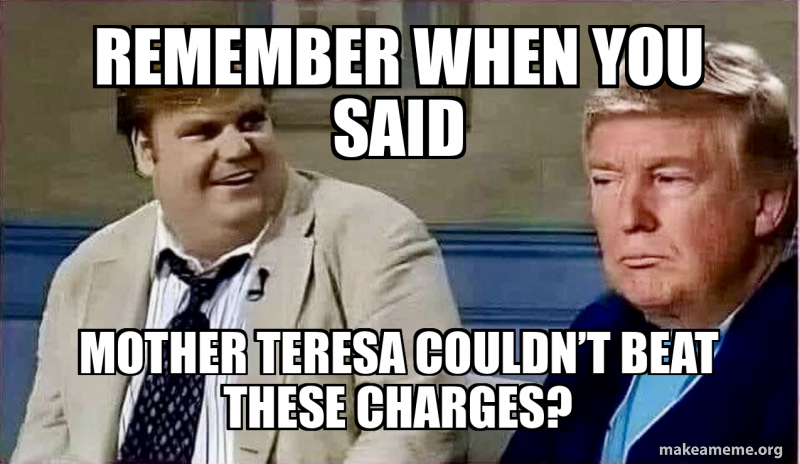 Remember when you said Mother Teresa couldn’t beat these charges? Meme ...