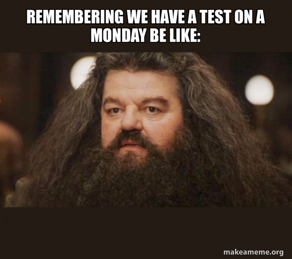 Remembering we have a test on a monday be like: - Hagrid - I should not ...