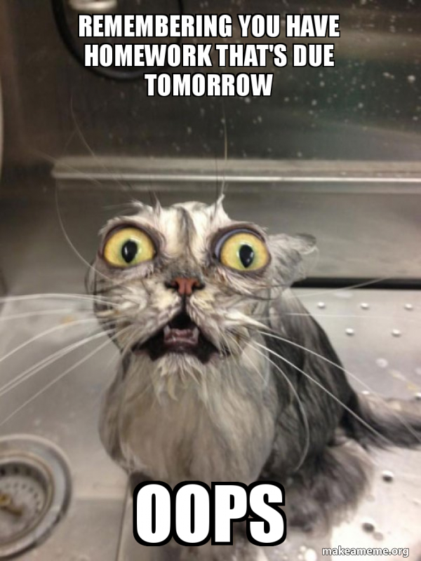 Remembering you have homework that's due tomorrow OOPS - Cat bath Meme ...