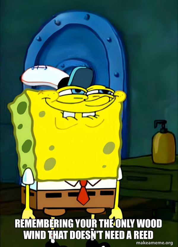 remembering your the only wood wind that doesn't need a reed ...