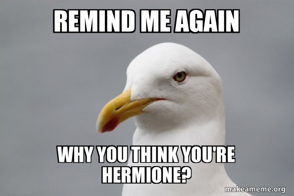 Remind me again why you think you're Hermione? - Stuff That Didn't ...
