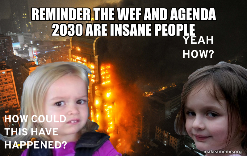 REMINDER THE WEF AND AGENDA 2030 ARE INSANE PEOPLE Meme Generator