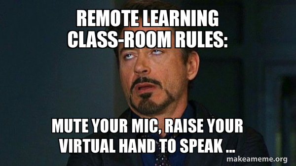 Remote learning class-room rules: Mute your mic, Raise your virtual ...