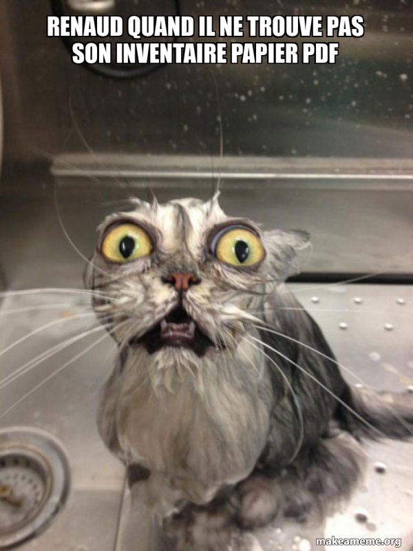 Renaud quand il ne trouve pas son inventaire papier PDF - Cat bath Meme ...