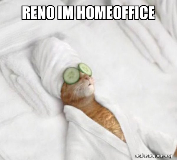 RENO im Homeoffice - Pampered Cat Meme Meme Generator