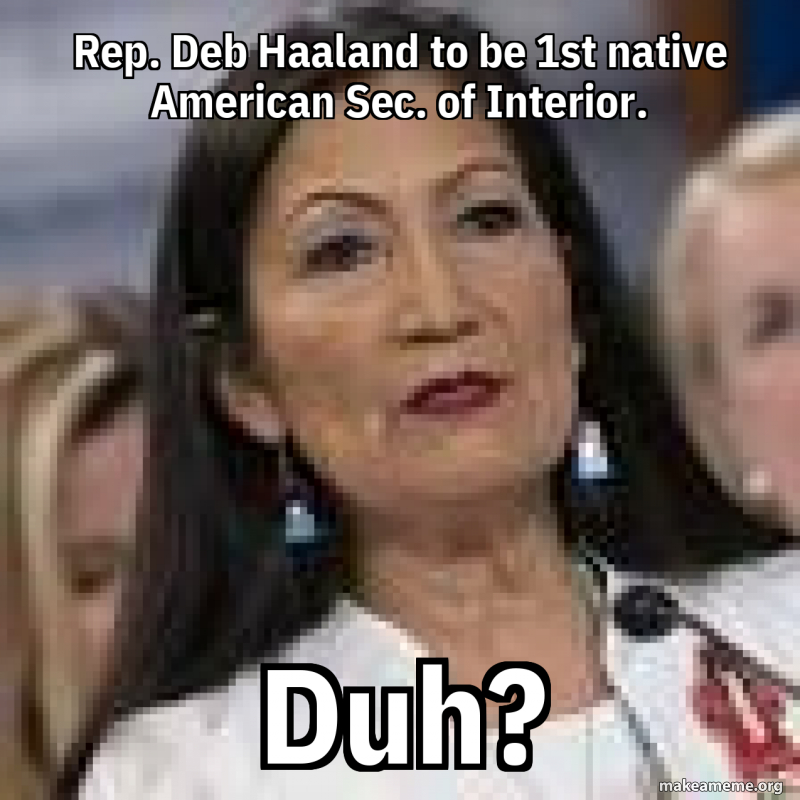 Rep. Deb Haaland to be 1st native American Sec. of Interior. Duh? Meme ...
