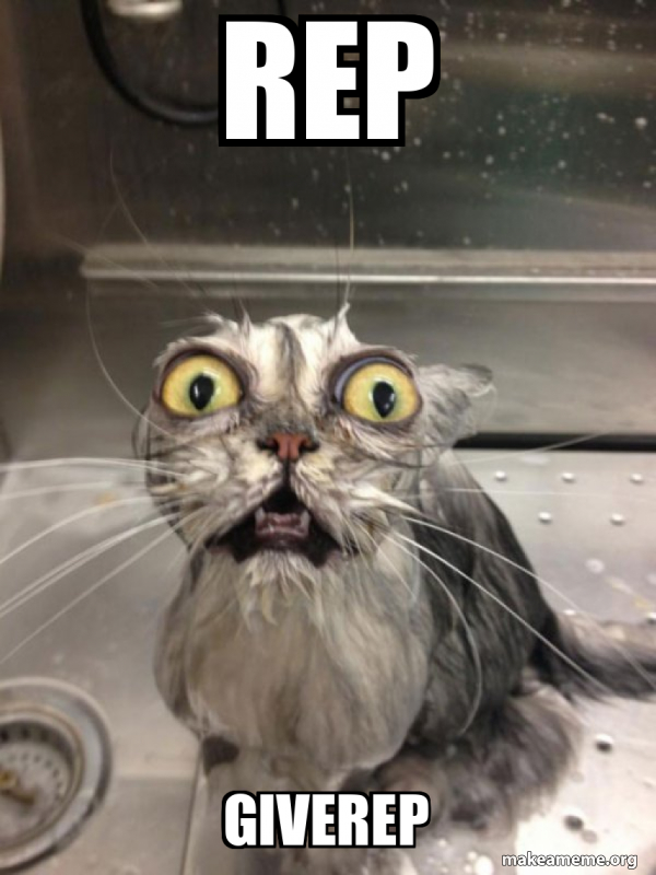 Rep Giverep - Cat bath Meme Generator