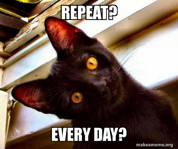 REPEAT? EVERY DAY? - Overly Attached Cat Meme Generator