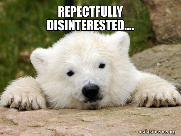 Repectfully disinterested.... - Popular Opinion Bear Meme Generator