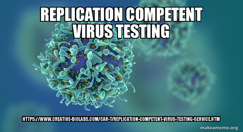 Replication Competent Virus Testing https://www.creative-biolabs.com ...