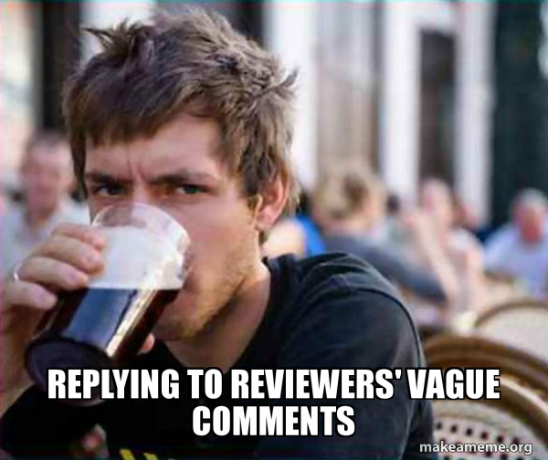 Replying to reviewers' vague comments - Lazy College Senior Meme Generator