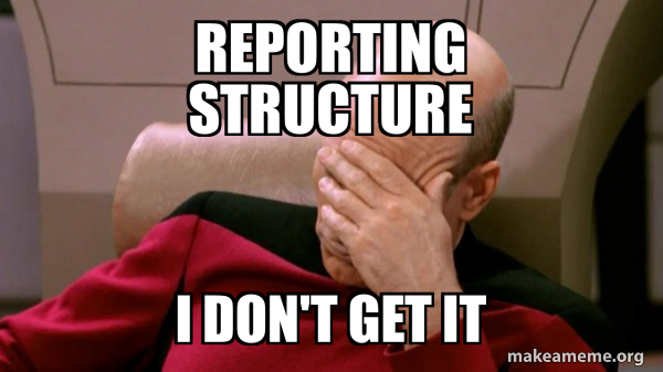 Reporting Structure I don't get it - Picard Facepalm Meme Generator