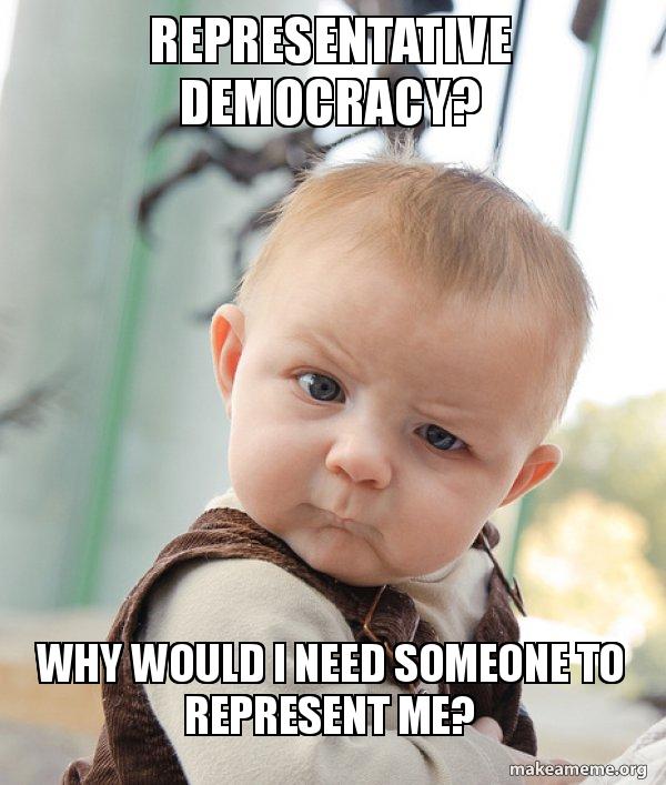 representative democracy? Why would i need someone to represent me ...