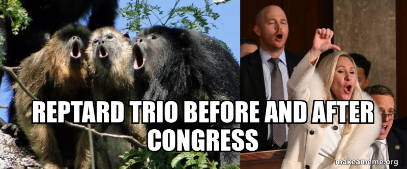 reptard trio before and after congress Meme Generator
