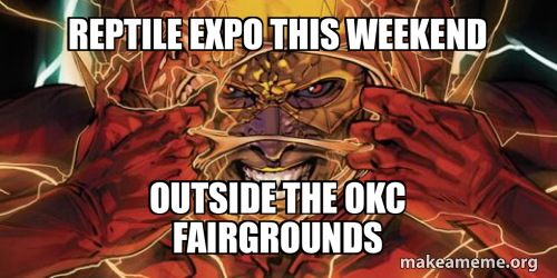 Reptile expo this weekend Outside the okc fairgrounds Meme Generator