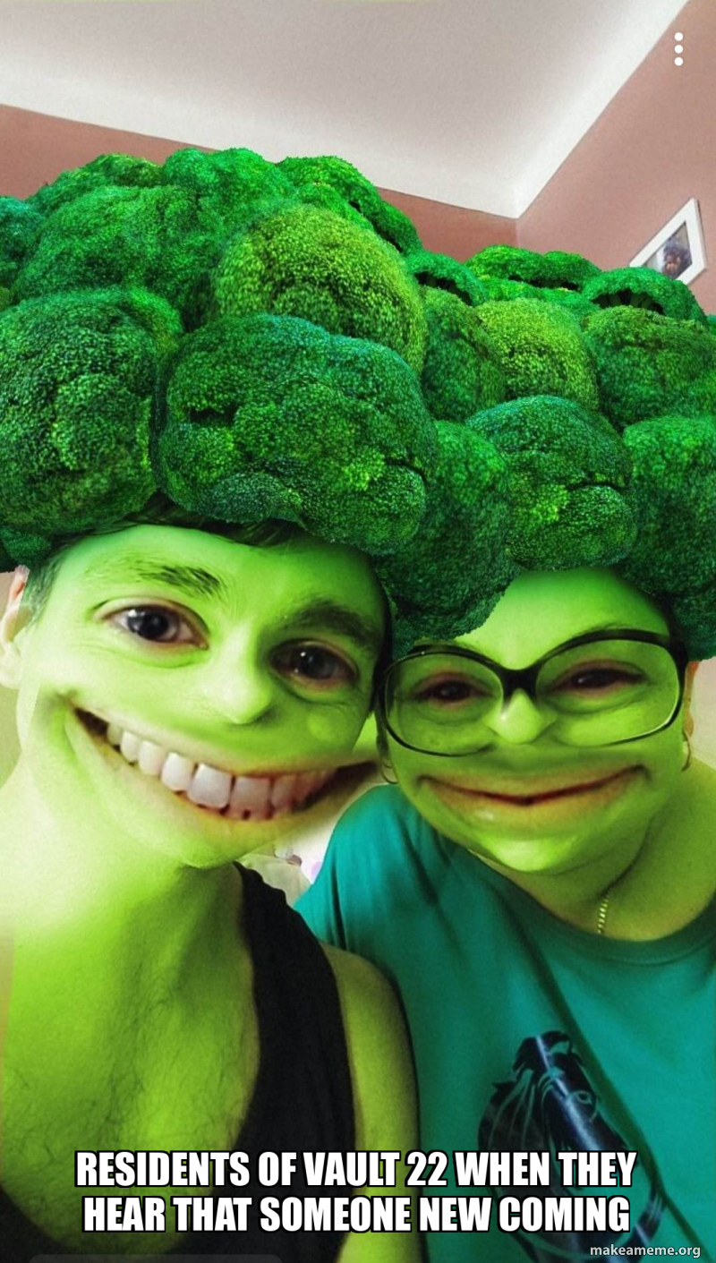 RESIDENTS OF VAULT 22 when they HEAR THAT SOMEONE NEW COMING Meme Generator