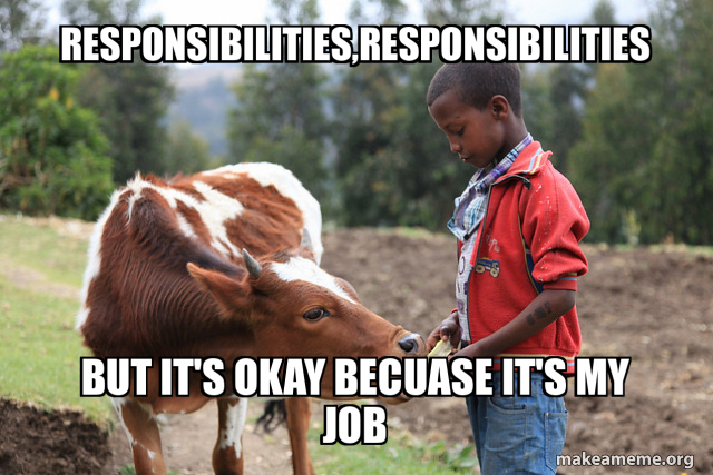 responsibilities,responsibilities But it's okay becuase it's my job ...