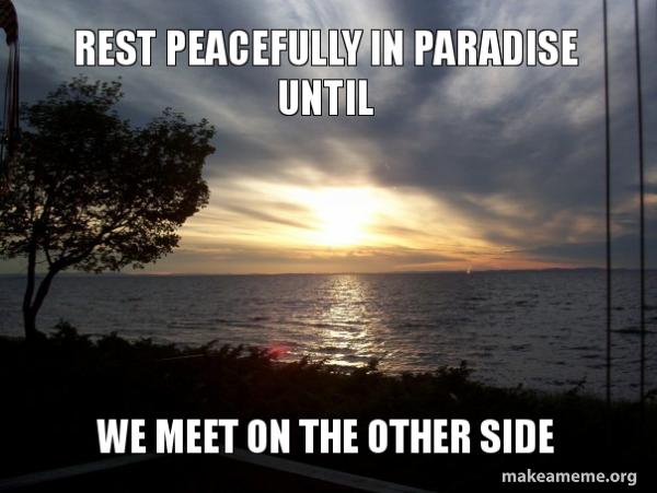 Rest Peacefully In Paradise Until We Meet On the Other Side Meme Generator