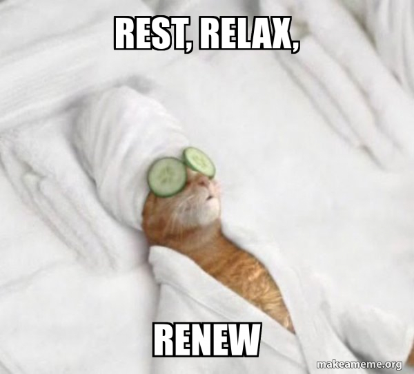 Rest, Relax, Renew - Pampered Cat Meme | Make a Meme