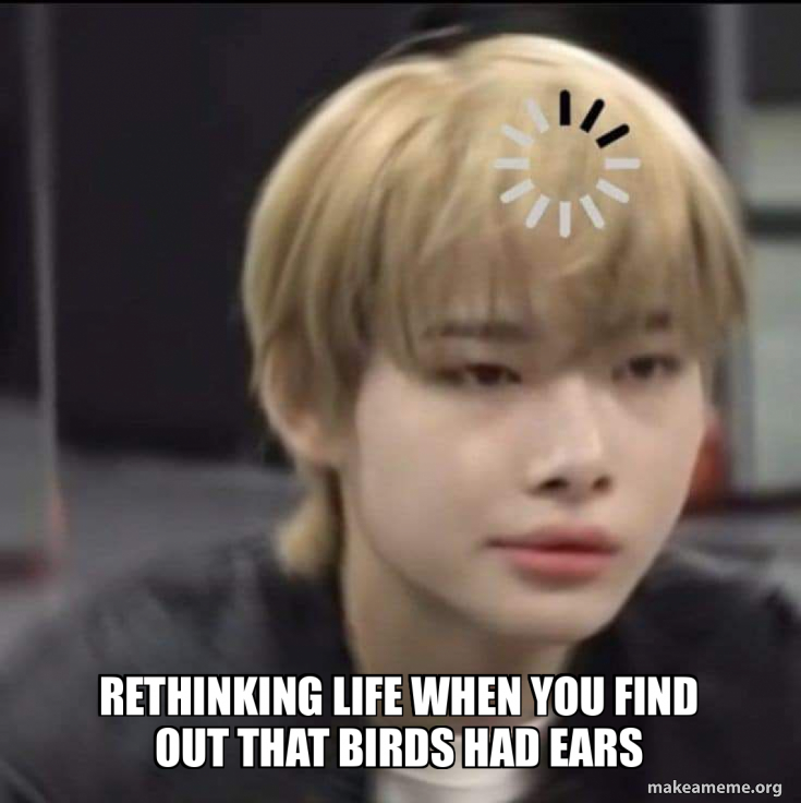 rethinking life when you find out that birds had ears Meme Generator