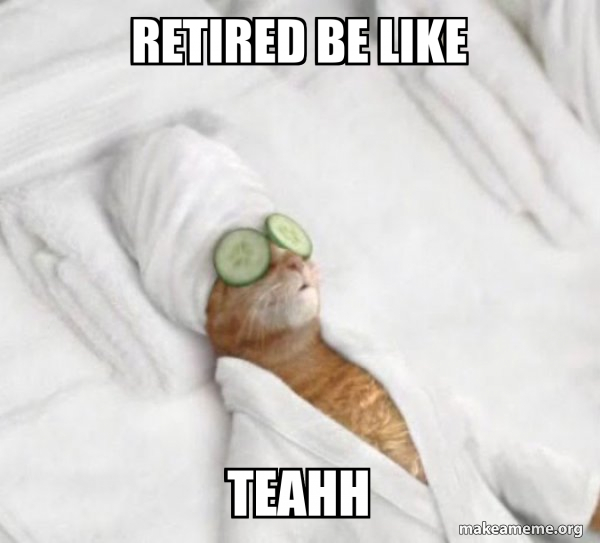 Retired be Like TEAHH - Pampered Cat Meme Meme Generator