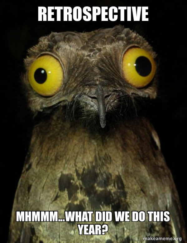 retrospective mhmmm...what did we do this year? - Weird Stuff I do ...