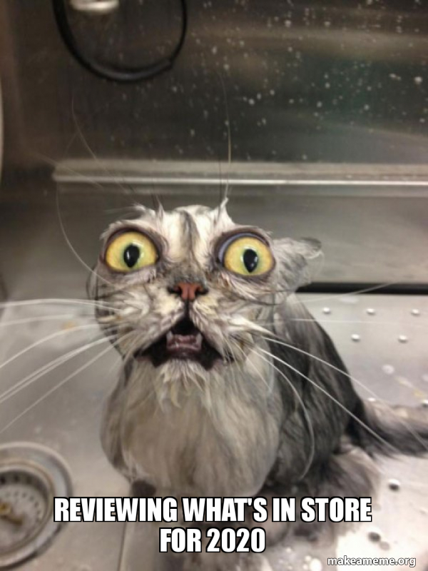 Reviewing what's in store for 2020 - Cat bath Meme Generator