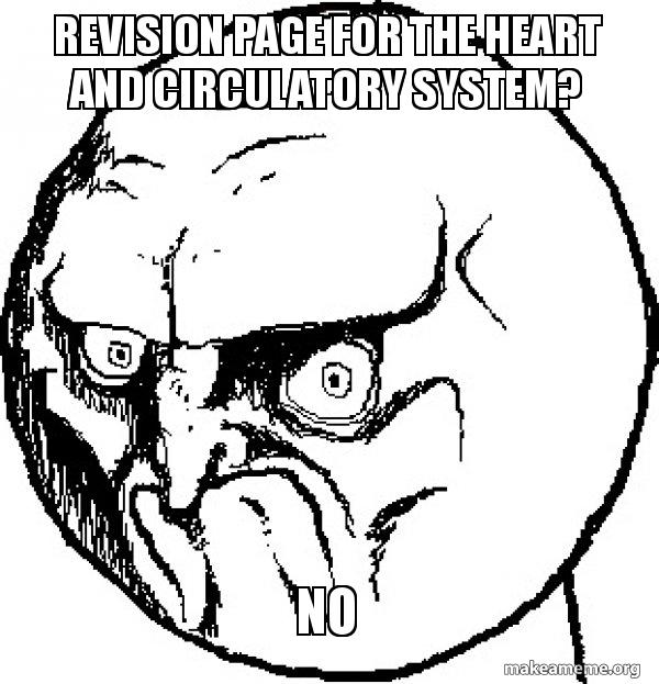 Circulatory System Memes Cardiovascular System Anatomy And Physiology: